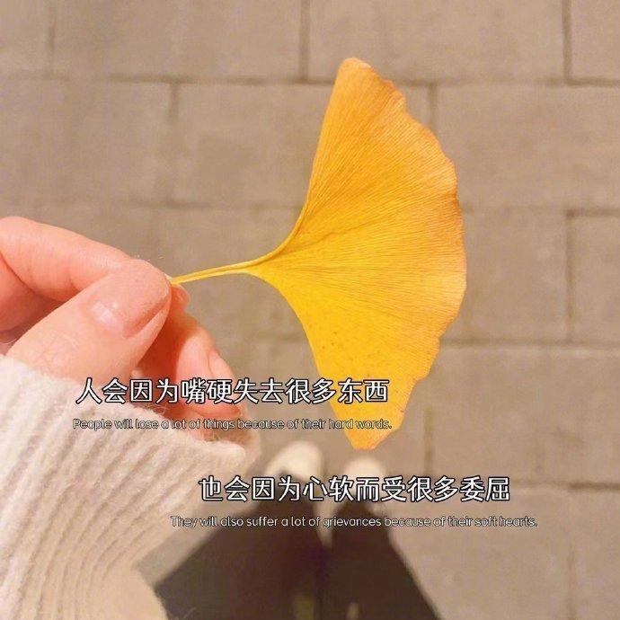 【藤爱说】爱情中要选择爱人还是被爱 知乎