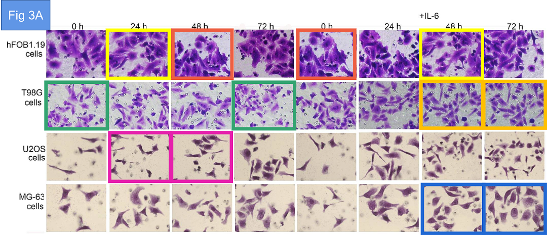 图像查重 | 32张图片组合在一起，你能发现其中的重复问题吗？ - 知乎