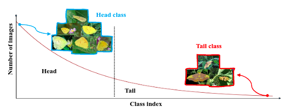 《BBN for Long-Tailed Visual Recognition》笔记 - 知乎