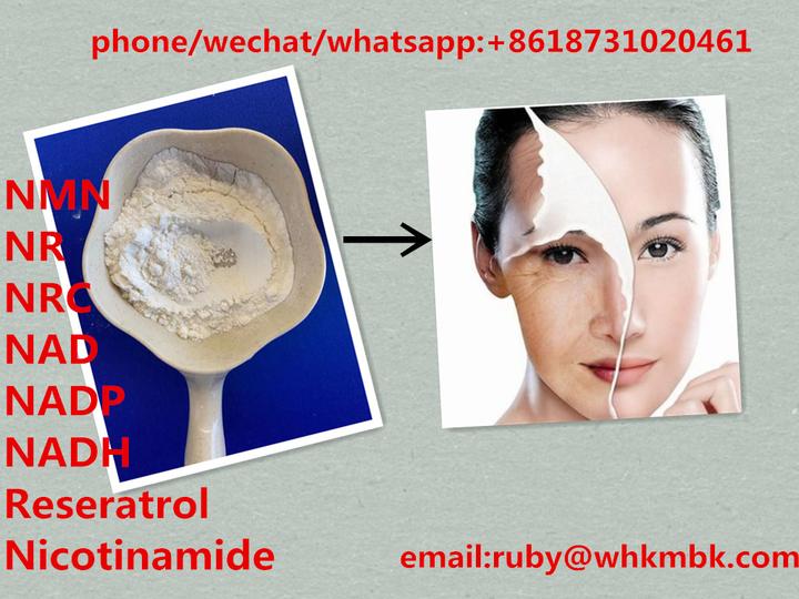 NADP/ NR/NAD/NMN/NRC/NADH cas 606-68-8 Reseratrol, Nicotinamide with safety delivery - 知乎