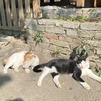 25Fall港三CS大类PhD申请记录（港中文工学院hkpfs workshop、港中文SEEM/CSE EA、港科CSE EA) - 知乎