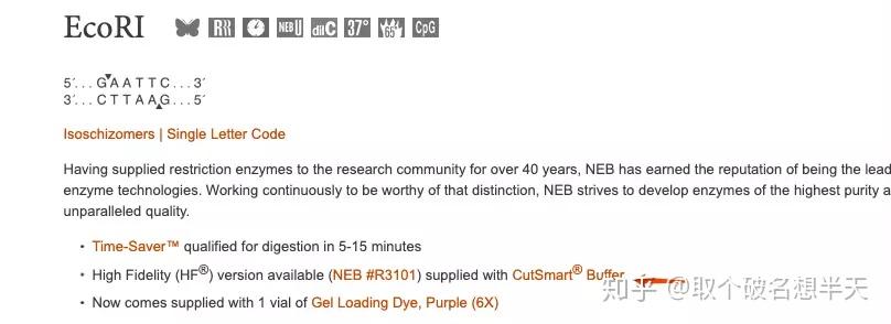 实验复盘-------质粒提取&酶切 - 知乎