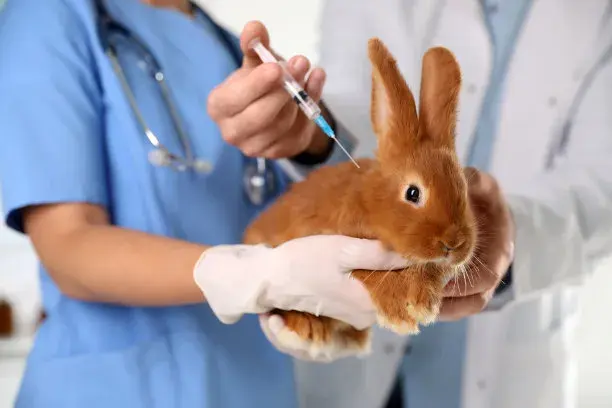 SCI核心期刊发表：VETERINARY IMMUNOLOGY AND IMMUNOPATHOLOGY - 知乎