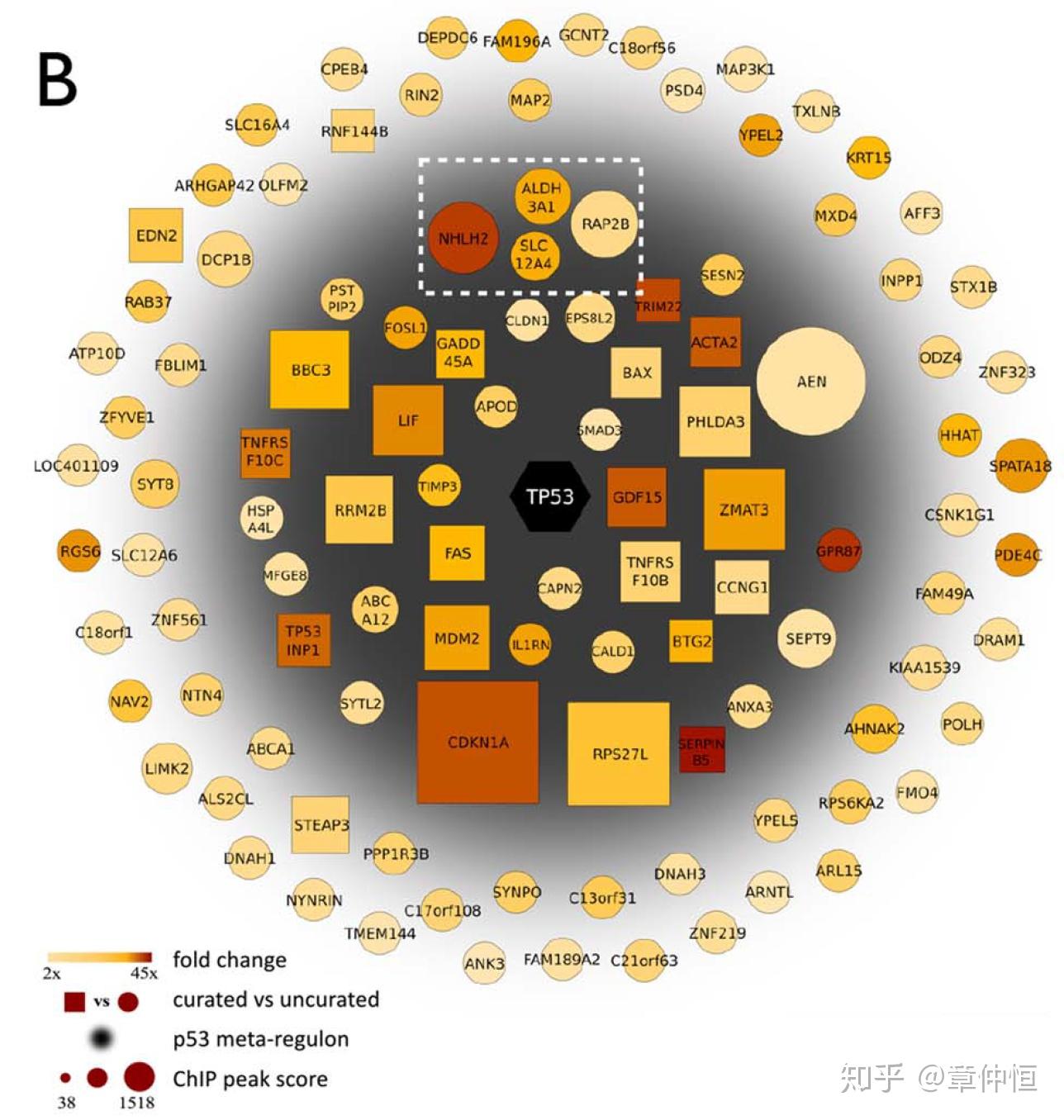 iRegulon：从基因列表到调控网络 - 知乎