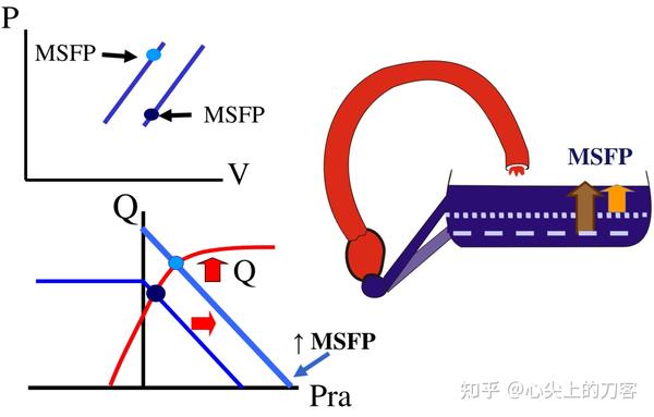 容量及其与心输出量和静脉回流的关系 - 知乎