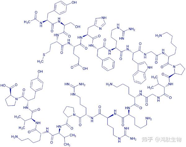 ACTH (1-13) - 知乎