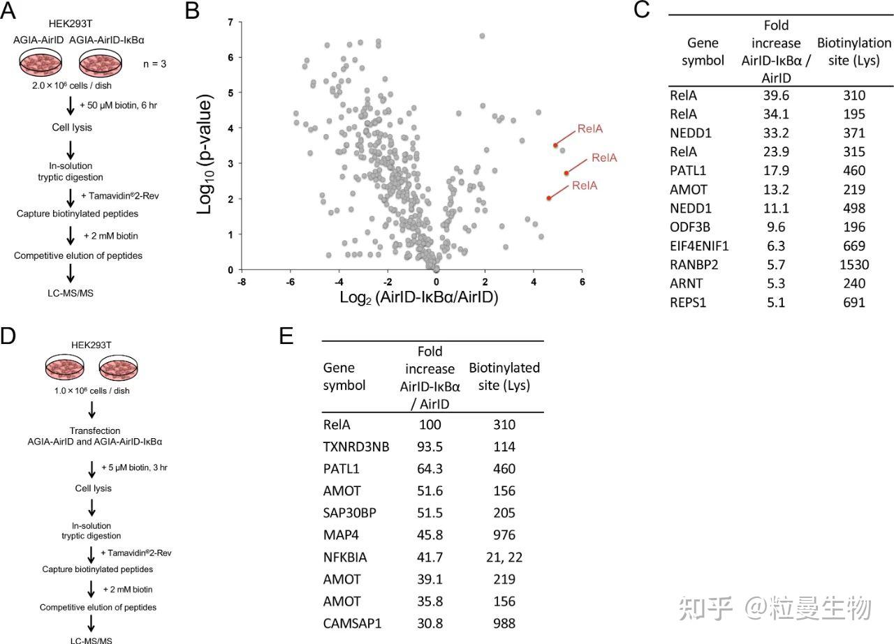 文献解读｜AirID：蛋白质相互作用研究的新篇章 - 知乎
