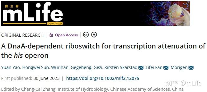 mLife | 开与关的抉择——DnaA蛋白依赖的his操纵子转录衰减核糖开关 - 知乎