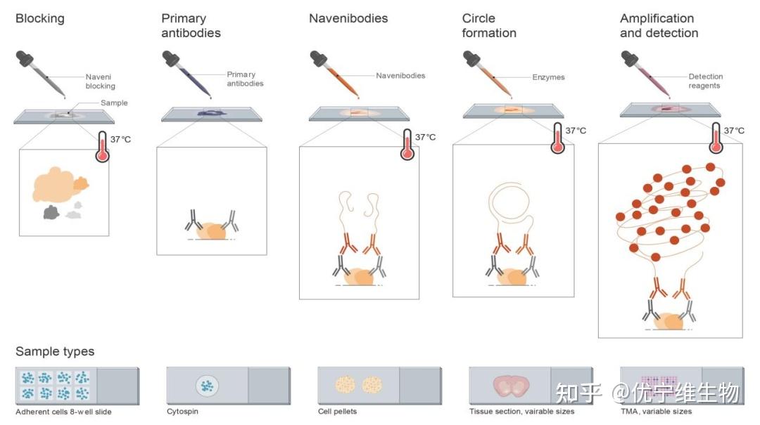 科研干货！Naveni PLA技术&现有文献部分解析 - 知乎