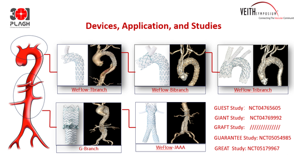 【微动态】国家级荣誉！解放军总医院郭伟教授团队的《主动脉分支腔内重建创新技术体系》荣登“科创中国”先导技术榜 - 知乎