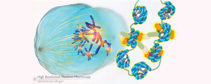Learn Cryo-EM 3D Reconstruction - 知乎