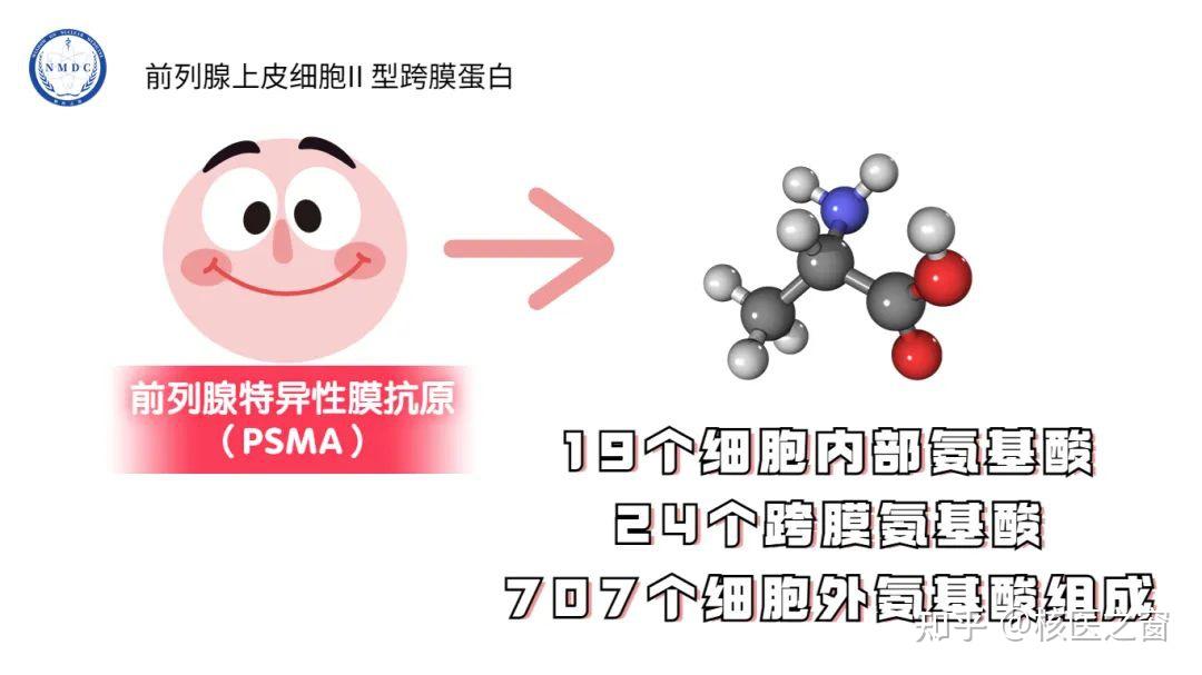 【专家解说】王可铮：“精确制导”PET/CT—18F-PSMA-1007特异性分子探针助力前列腺癌精准诊疗！ - 知乎