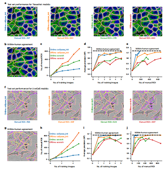 Nat Methods | 训练自己的细胞分析模型：Cellpose 2.0 - 知乎