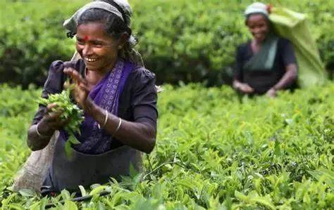 破产后曙光！该国取消对286种物品进口限制！ - 知乎