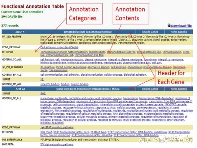 如何利用DAVID做富集分析 - 知乎