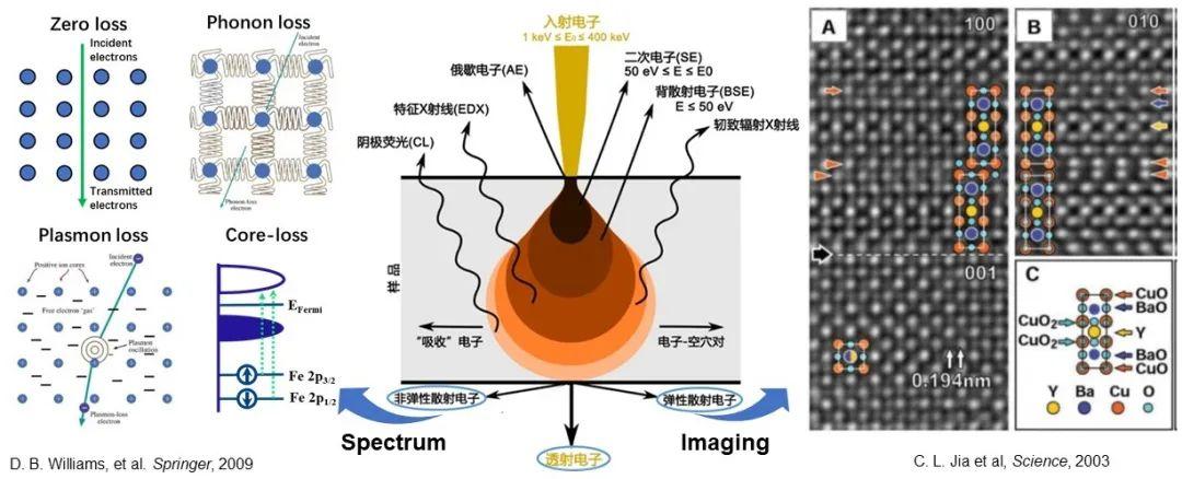 【今晚开讲】TEM图片加标尺、上色美化、衬度调整、SAED衍射标定、晶面量取、EELS分析、高分辨图像信息挖掘！ - 知乎