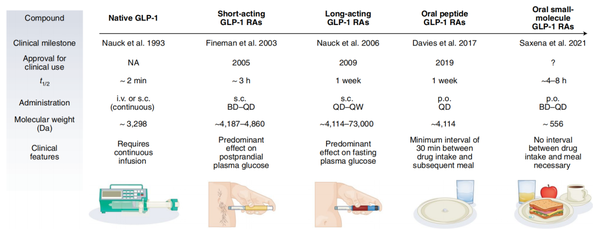 快讯 | Pfizer终止Lotiglipron，小分子GLP-1RA格局几何？ - 知乎