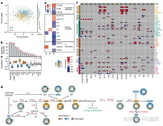 Nature Metabolism：人类健康、疾病和衰老与动态脂质组的联系 - 知乎