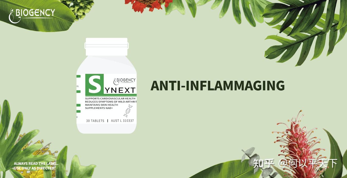 第二代小绿瓶绿Synext上市了 - 知乎