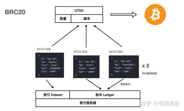 解析 BTC 两大原生资产协议，BRC20 与 ARC20 - 知乎