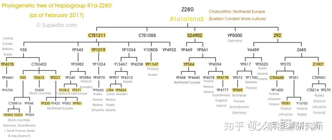 父系单倍群R1a - 知乎