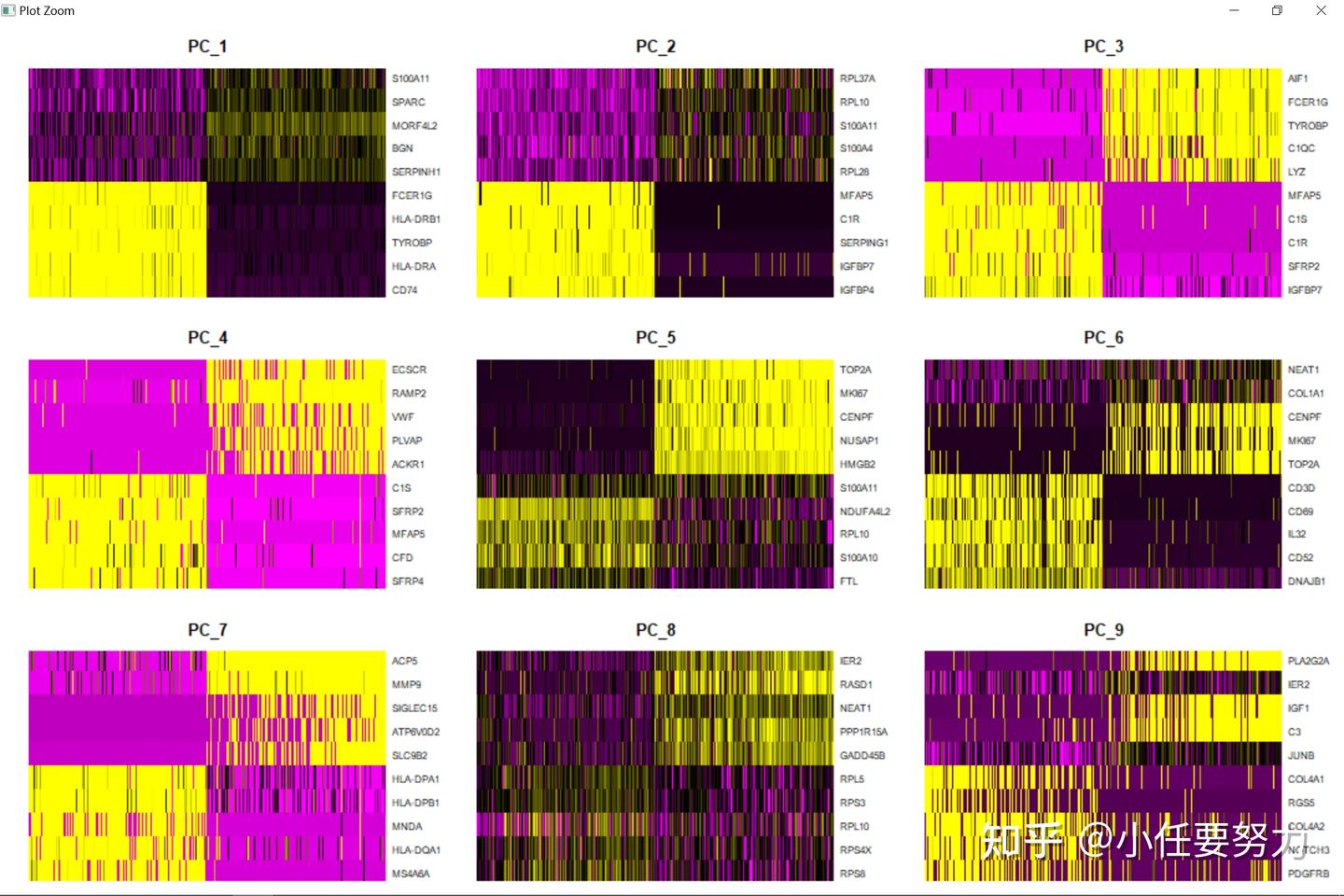 第七课单细胞基础二：PCA降维与细胞聚类并可视化 - 知乎