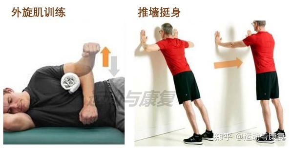 肩峰撞击综合征的4个康复阶段（肩痛康复） - 知乎