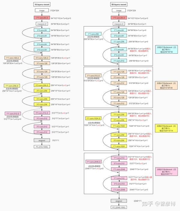 ResNet-34和ResNet-50结构图 - 知乎