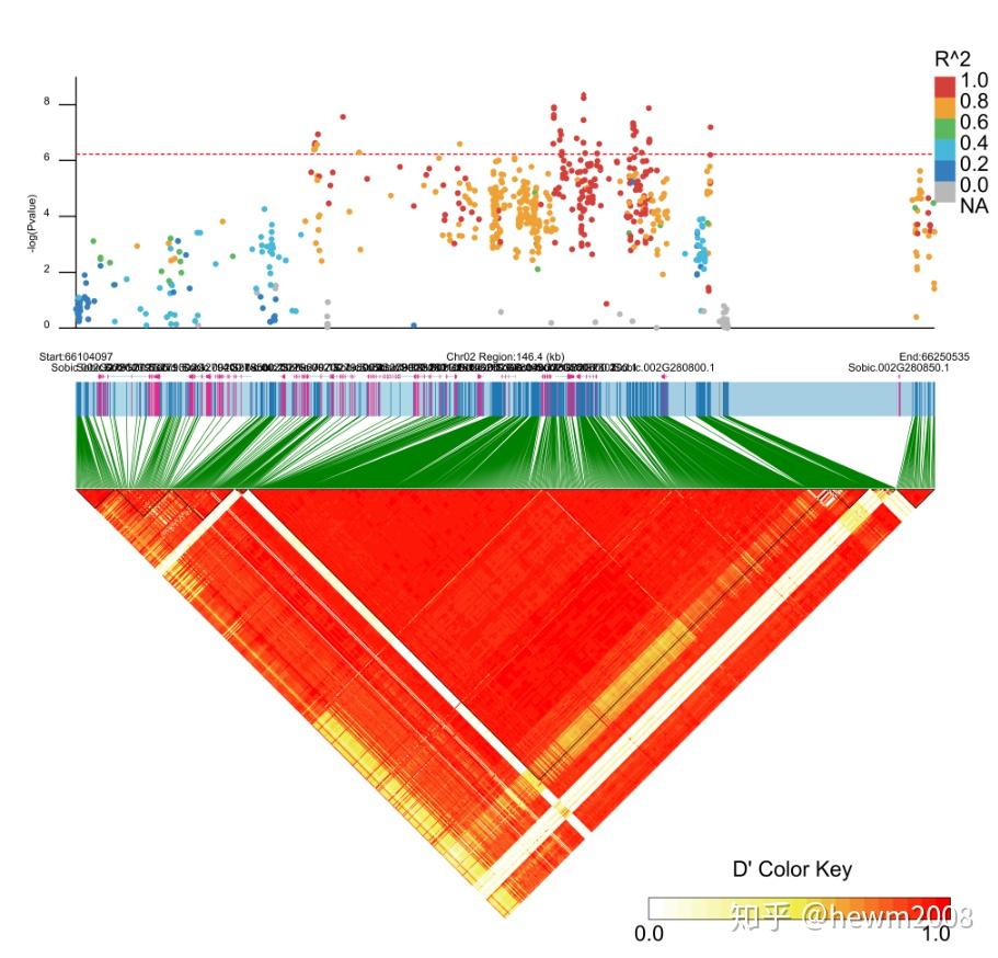 连锁不平衡LD (popLDdecay+ LDBlockShow) - 知乎