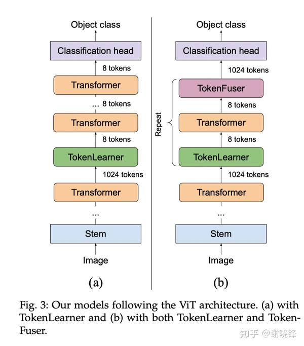 TokenLearner: 一张图片用8个tokens就够了 - 知乎