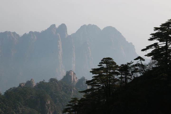 Qlib研究(二): 工作流-模型加载、训练与回测 - 知乎