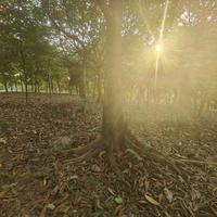 Mirillis Splash：简洁、功能全面的视频播放器 - 知乎