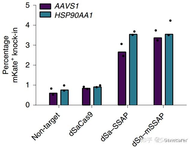 无切割基因敲入系统：dCas9-SSAP，主打一个Cleavage-Free！ - 知乎