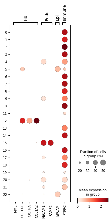 单细胞转录组实战03: 使用celltypist注释细胞 - 知乎