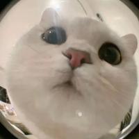 孟德尔随机化本地 clump - 知乎