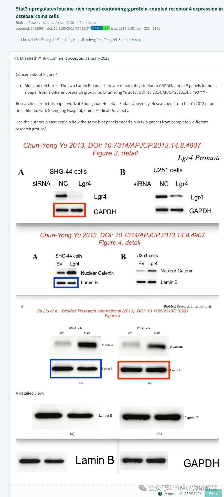 复旦大学附属中山医院Biomed Res Int论文被撤稿，被ImageTwin 查出多处 Western Blots错误！ - 知乎