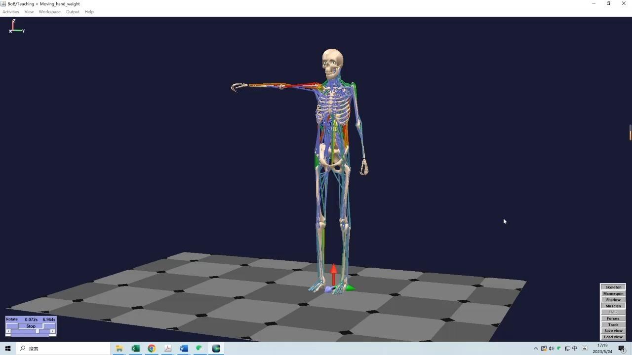 BOB人体生物力学仿真软件教学版帮助我们了解运动中人体的运动规律和技术原理！ - 知乎