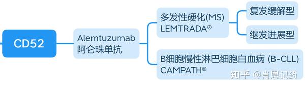 记住所有FDA生物药 | 靶向CD52 | Alemtuzumab 阿仑珠单抗 | 慢性淋巴细胞白血病、多发性硬化 - 知乎