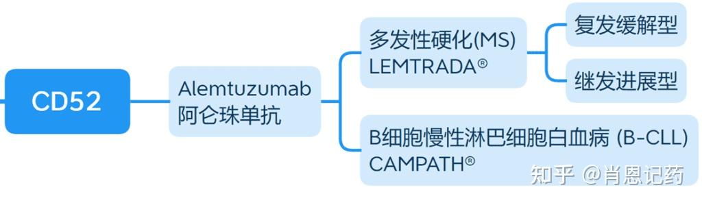 记住所有FDA生物药 | 靶向CD52 | Alemtuzumab 阿仑珠单抗 | 慢性淋巴细胞白血病、多发性硬化 - 知乎