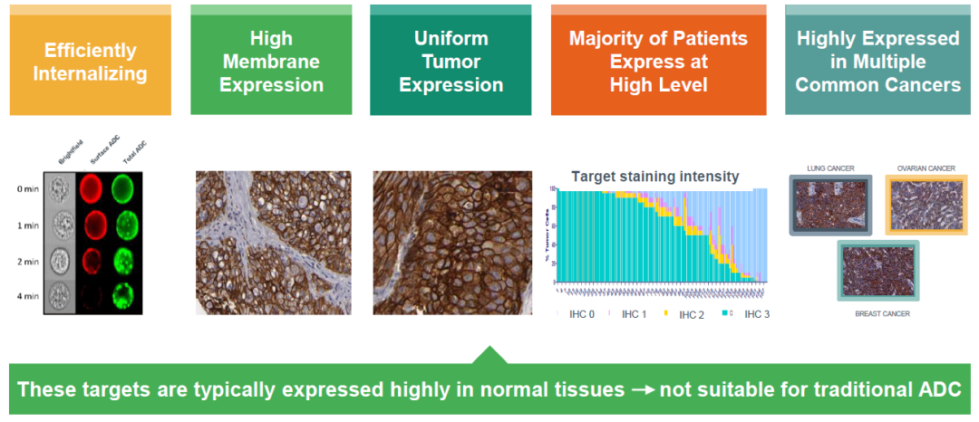 Probody®疗法简介及其在ADC中的成功应用（最大限度减少健康组织伤害） - 知乎