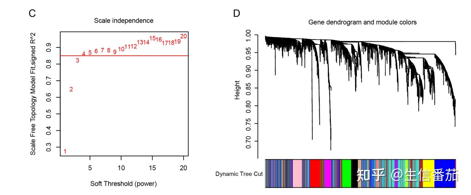 如何快速筛选关键基因？可以试试PPI网络 +WGCNA，外加免疫浸润分析，直接搞定4分+纯生信文章！ - 知乎