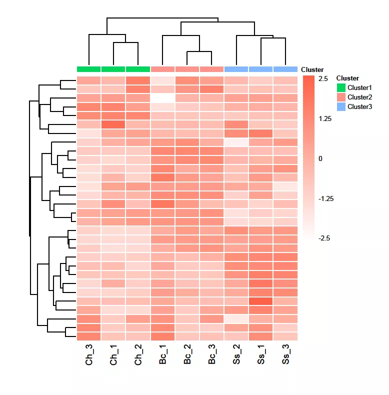R语言绘图教程 | 如何绘制“漂亮”的热图？ - 知乎