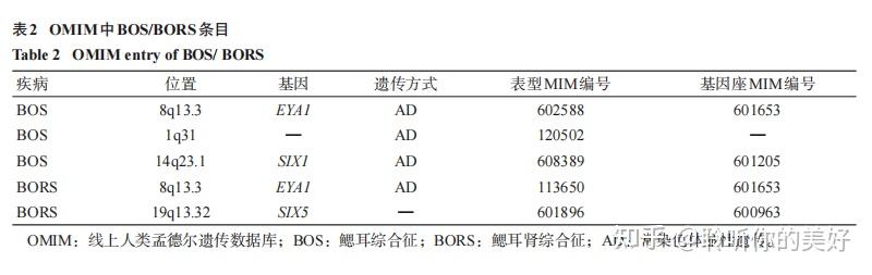 遗传性听力损失及其综合征—鳃-耳-肾综合征 - 知乎