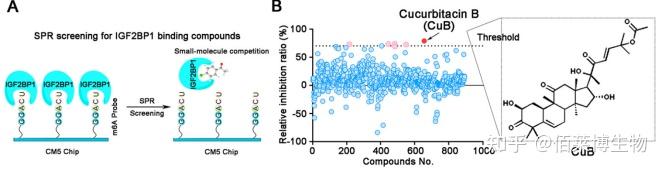 SPR与ITC分子互作技术助力揭示葫芦素B抗肿瘤作用靶点 - 知乎