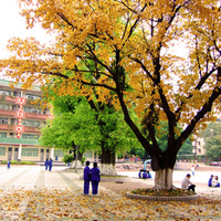 歼20机头下的到底是EOTS还是IRST？ - 知乎