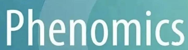 Phenomics | 基于仿生糖组学定量技术揭示MDA5阳性皮肌炎合并快速间质性肺炎血浆N-糖链特征 - 知乎