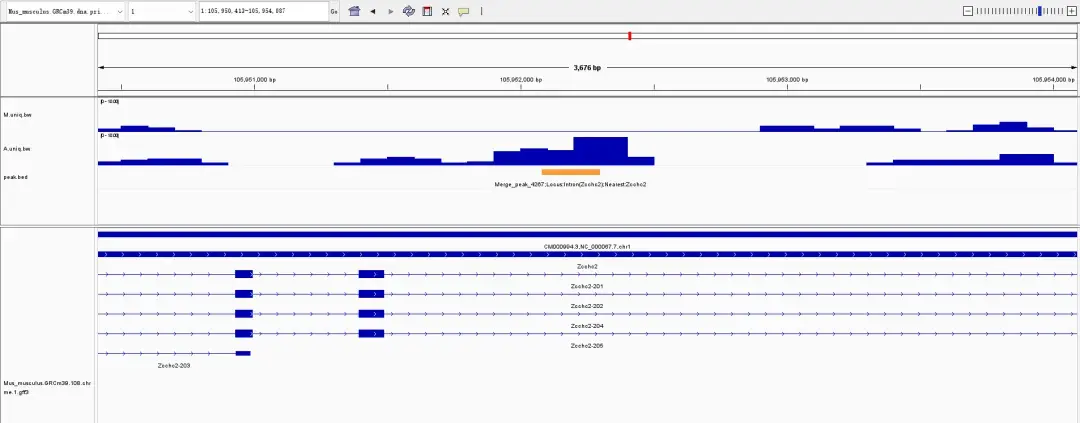 【干货】IGV使用手册 - 知乎