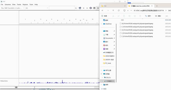 IGV使用教程（图文） - 知乎