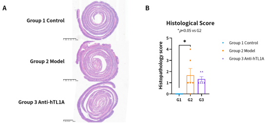 造模百科 | 炎症性肠病免疫系统人源化小鼠模型 - 知乎