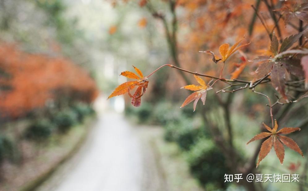 2023年618索尼A7M4值得买吗？